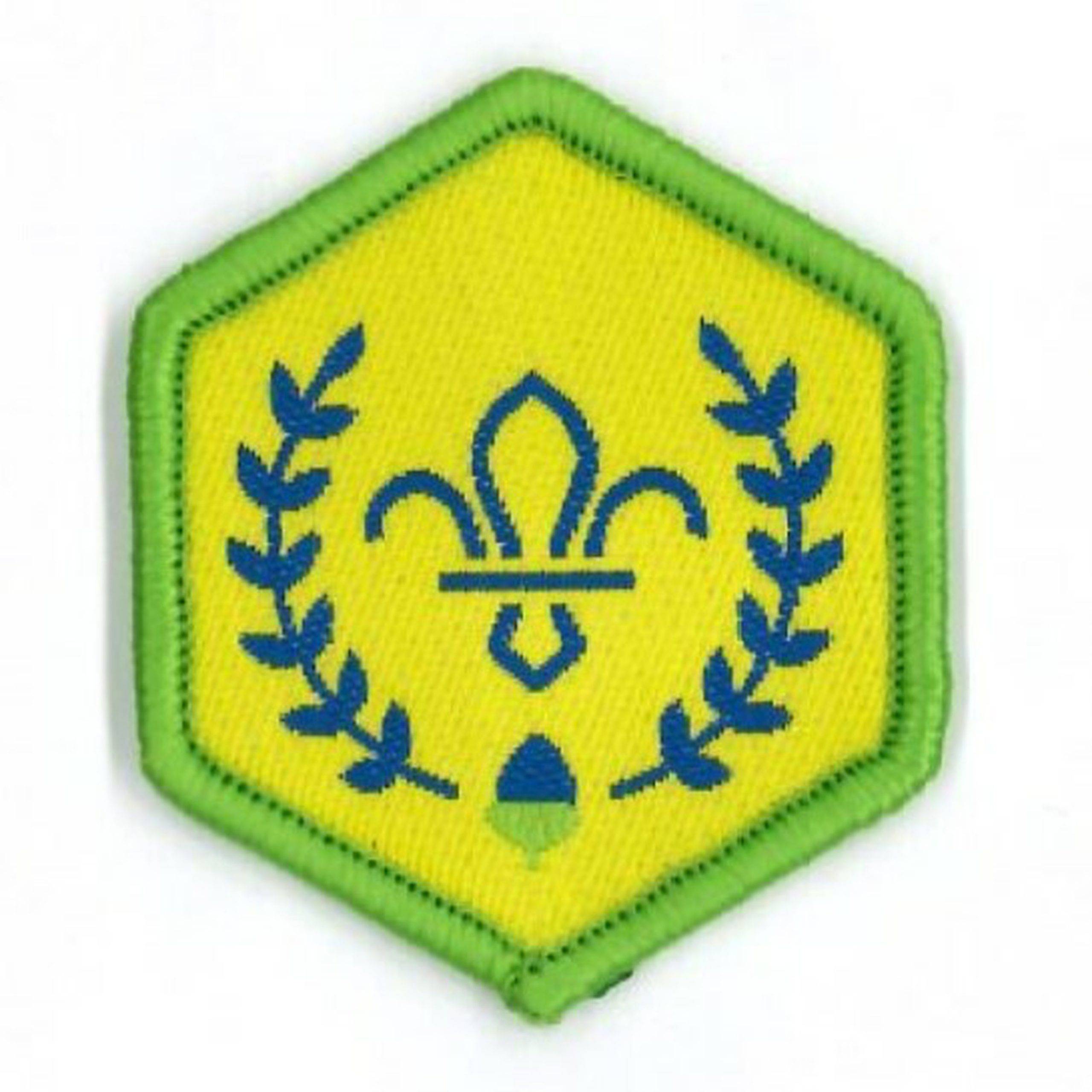Squirrel Scout Chief Scout Acorn Award Badge Wolverhampton North Scouts Squirrel Scout Chief Scout Acorn Award Badge Wolverhampton North Scouts