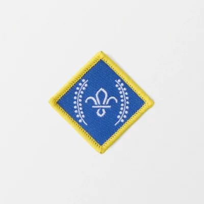Chief Scouts Platinum Award Badge - Wolverhampton North Scouts